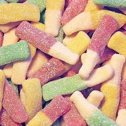 Koala Sour Citrus Gummies | Bulk Candy | Candy District